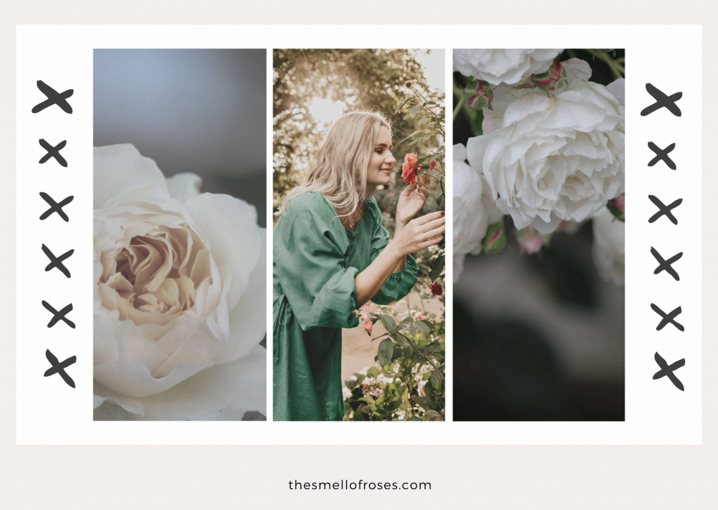 What does it mean to take time to smell the roses?