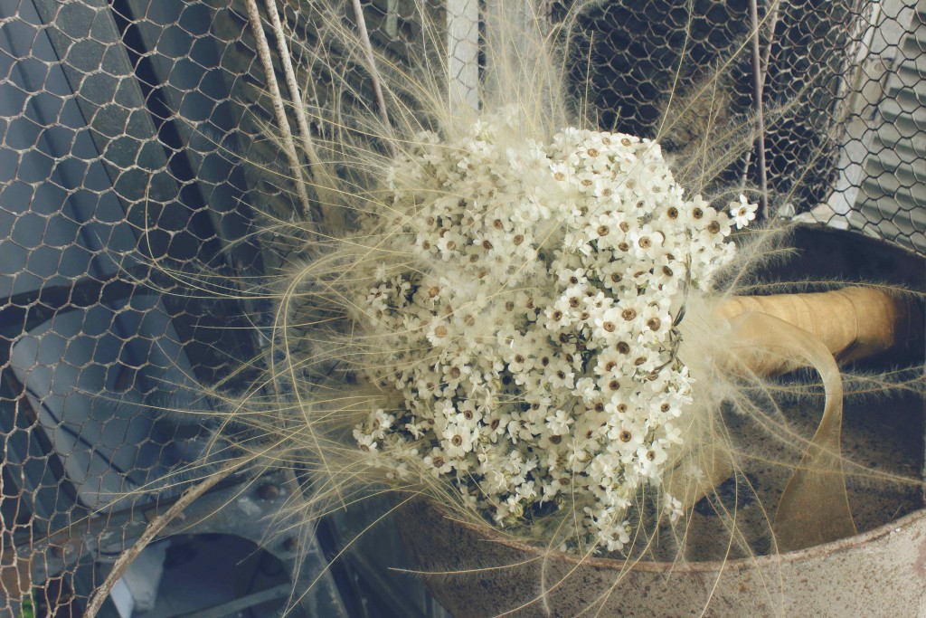 Zita Elze & delicate bloom