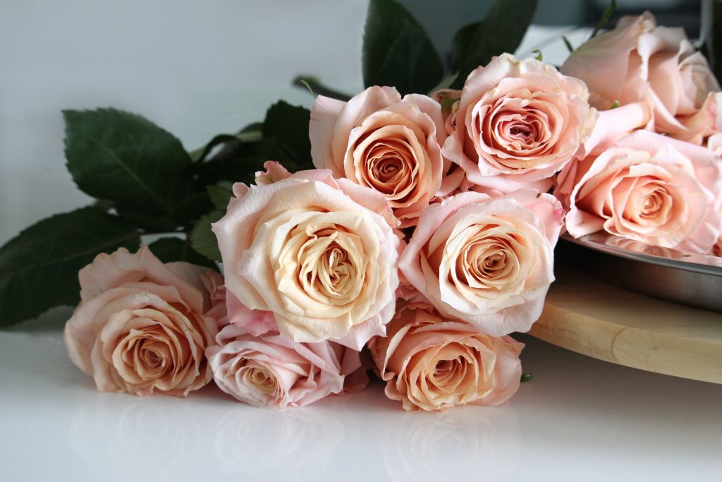 Rose Shimmer a perfect blend of elegance and durability