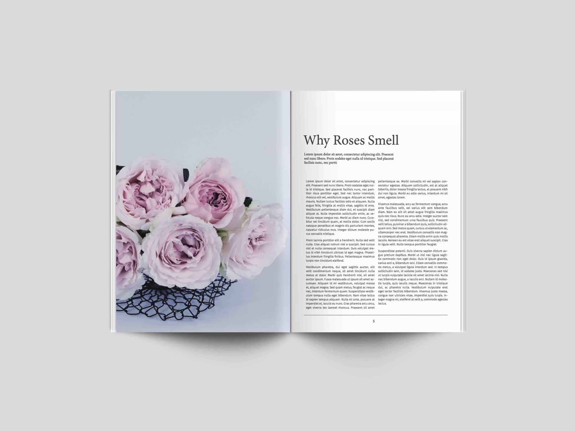 The Rose Magazine