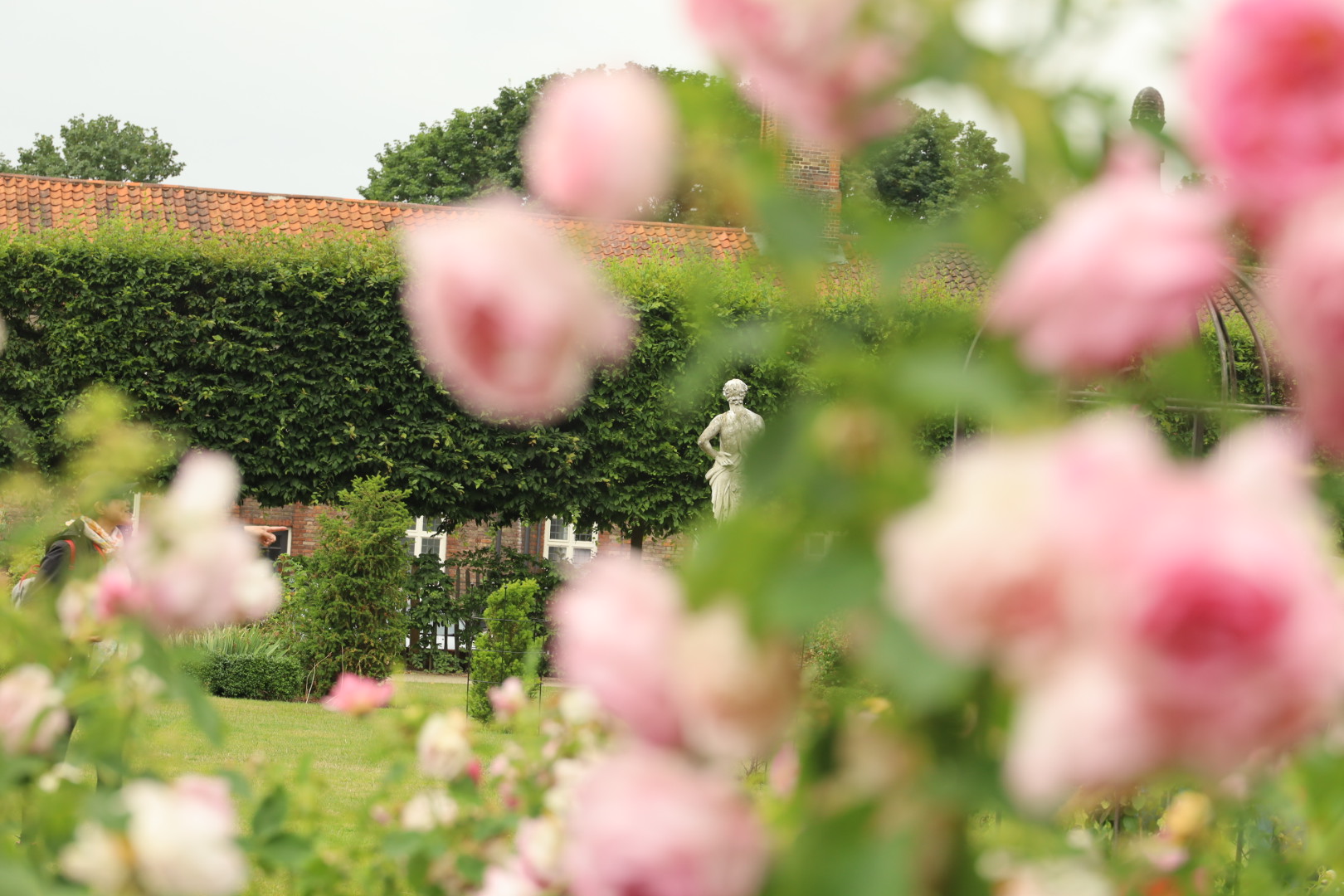 Discovering the Hidden Treasures of Hampton Court Palace's Rose Garden