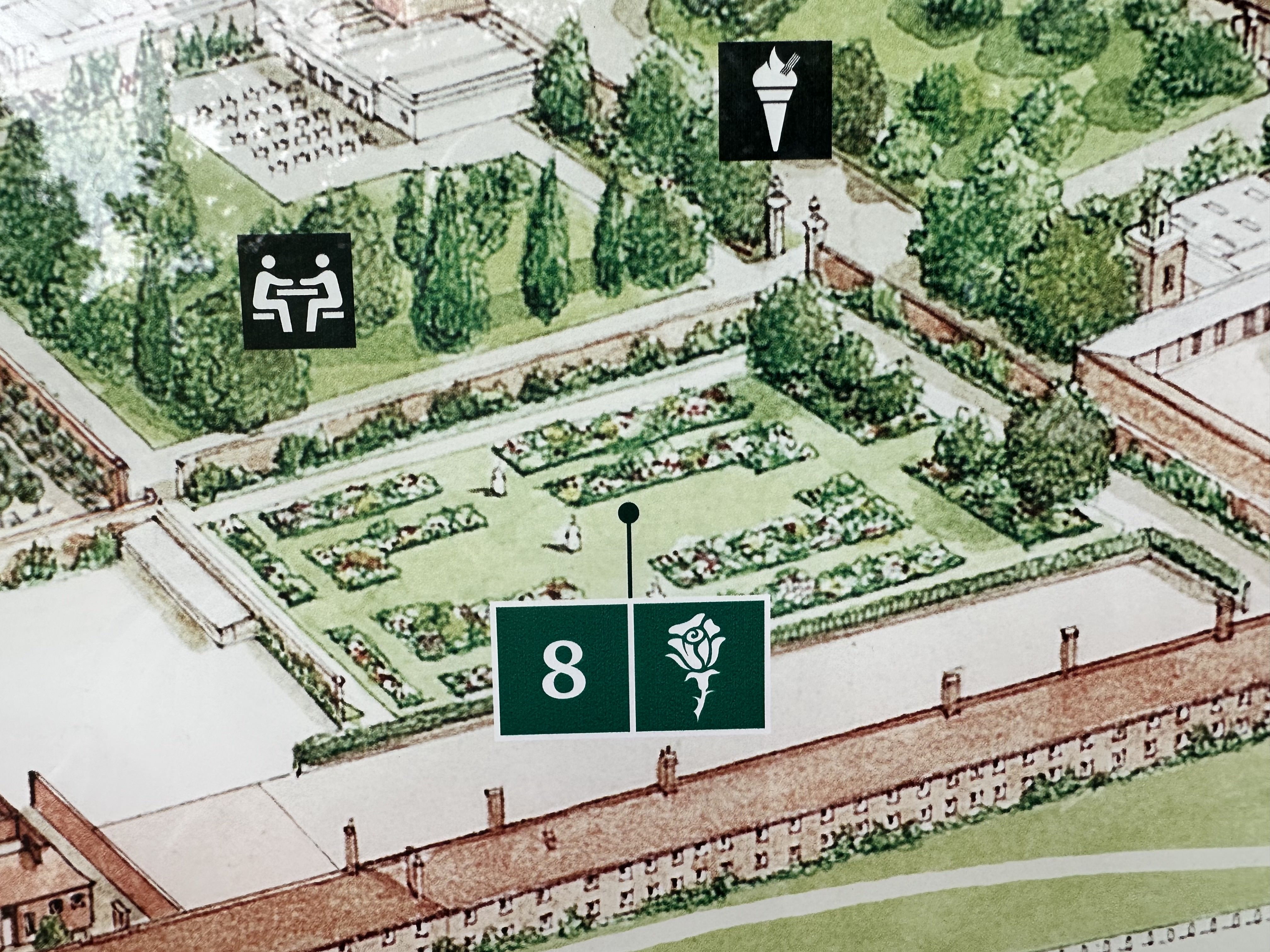 Discovering the Hidden Treasures of Hampton Court Palace's Rose Garden