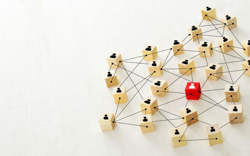 Tout savoir sur le management transversal - 2024