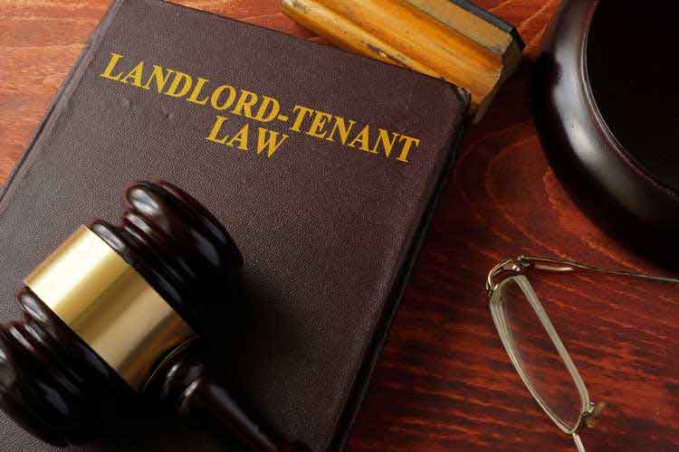 Legal-Aid-Now - Get Legal Assistance Today
