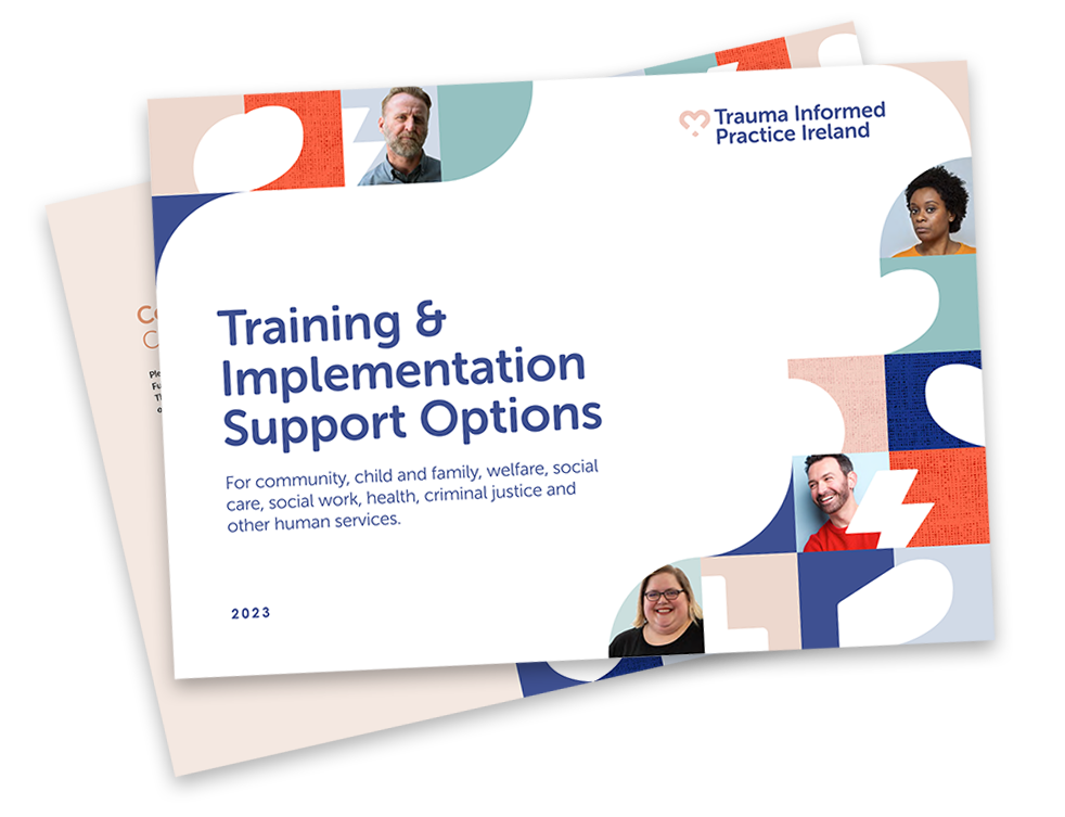 implementation-supports