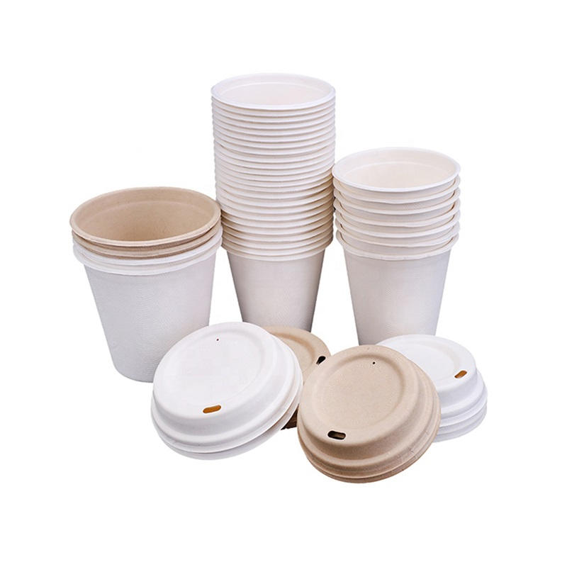 Biodegradable Sugarcane Bagasse Cup