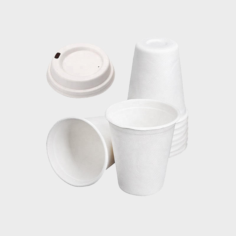 Compostable Bagasse Coffee Cups