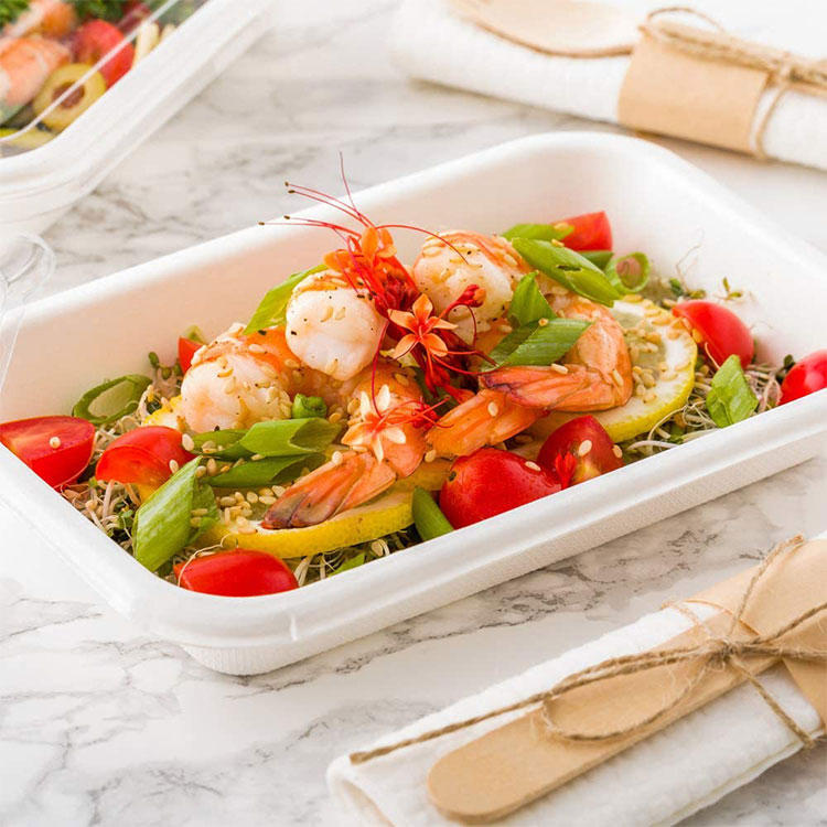 Compostable Rectangle Bagasse Pulp Food Tray