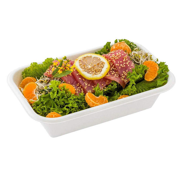Compostable Rectangle Bagasse Pulp Food Tray
