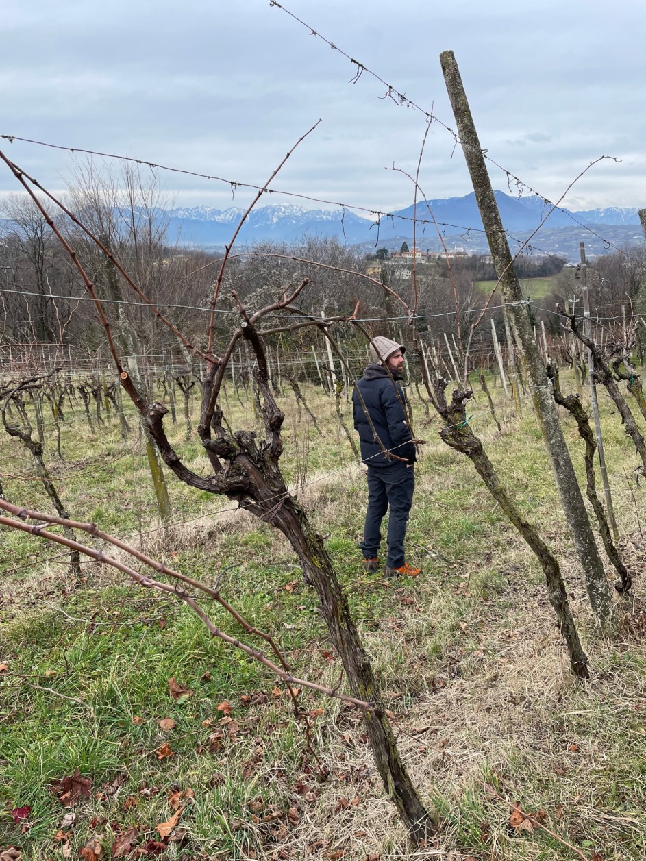 New from Marco Turco