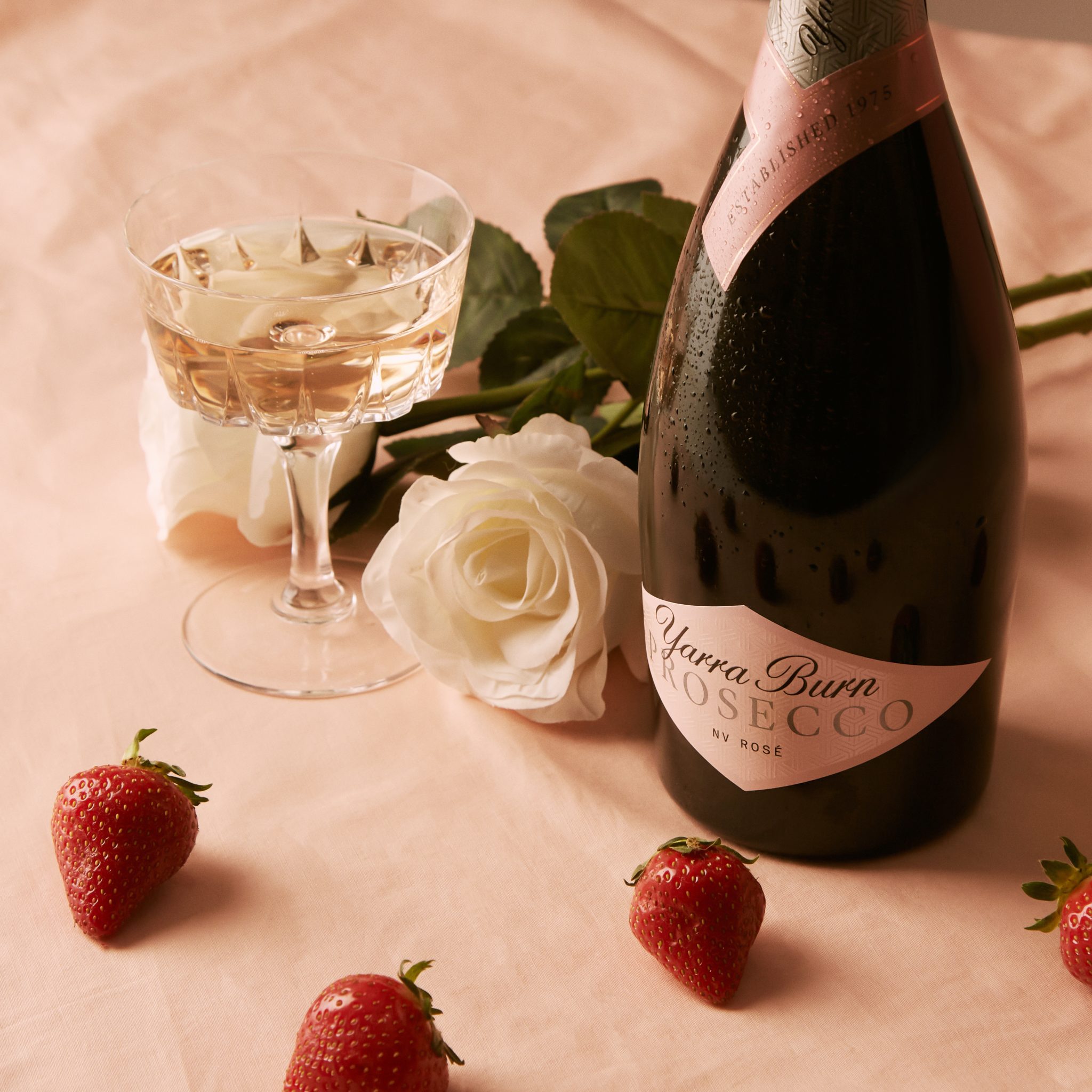 Wine Commercial Photoshoot