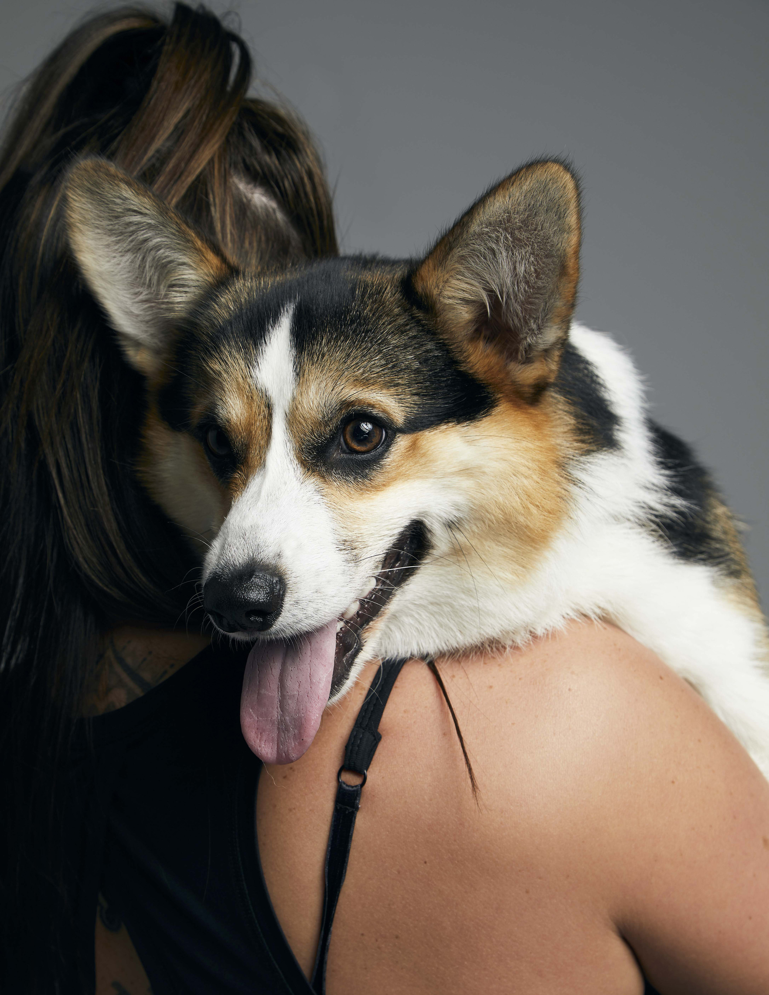 Paws & Portraits Studio Shoot