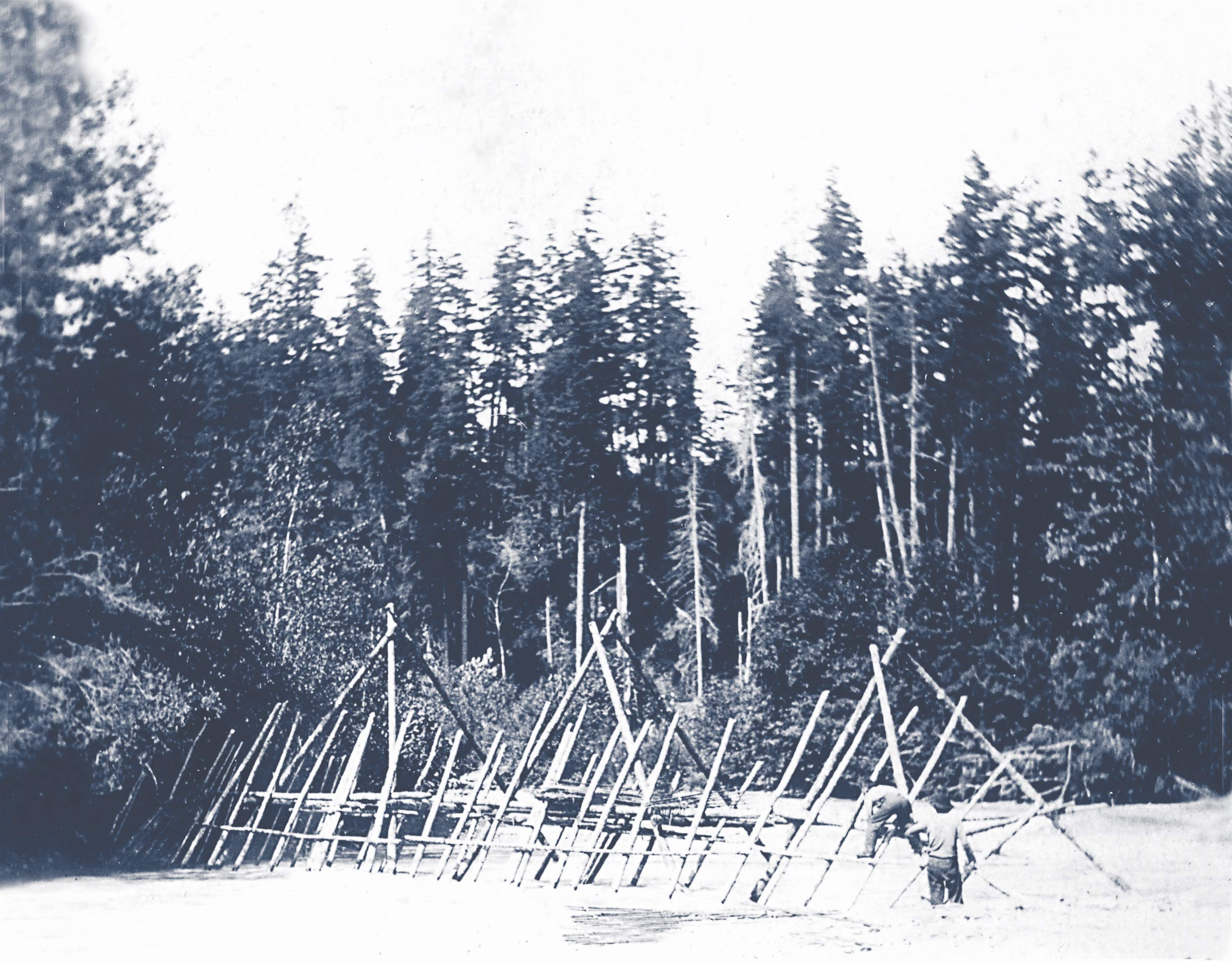 Muckleshoot History