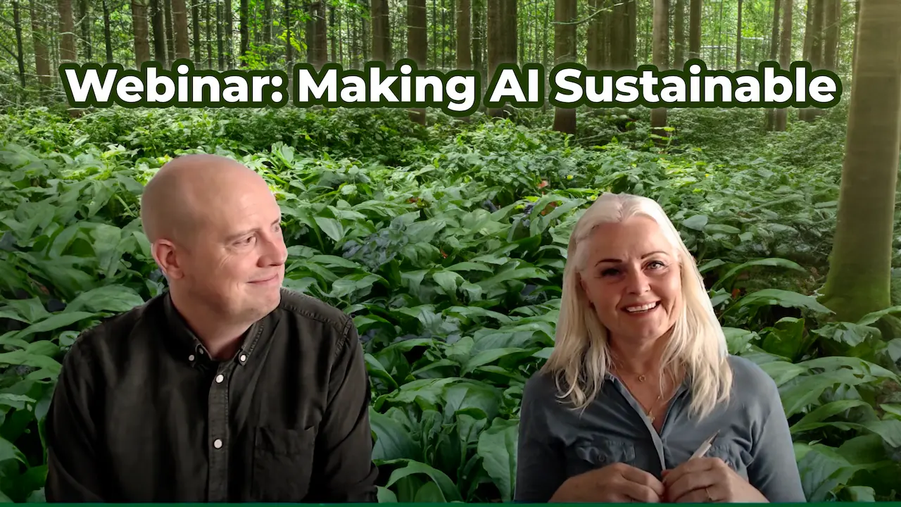 Webinar: Making AI Sustainable