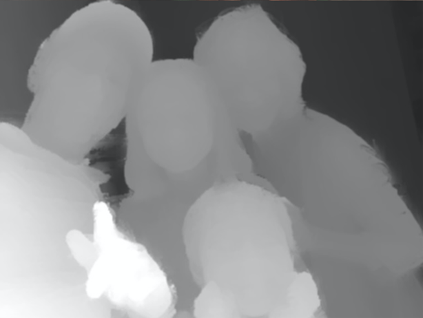 The depth map from an iPhone X portrait mode photo