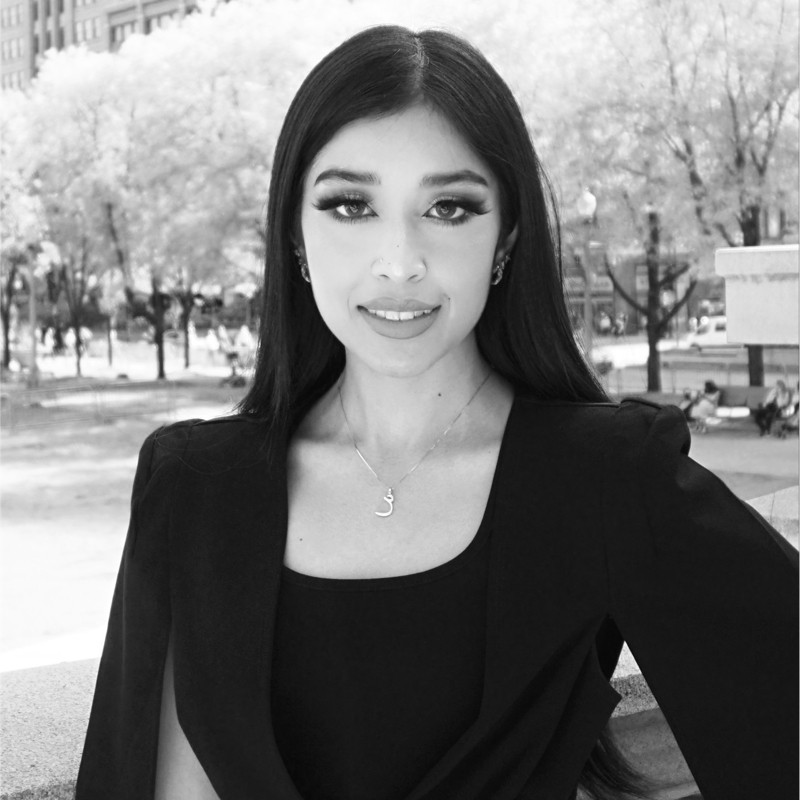 Notion templates by Mariam Hashmi, M.S. – Notionery