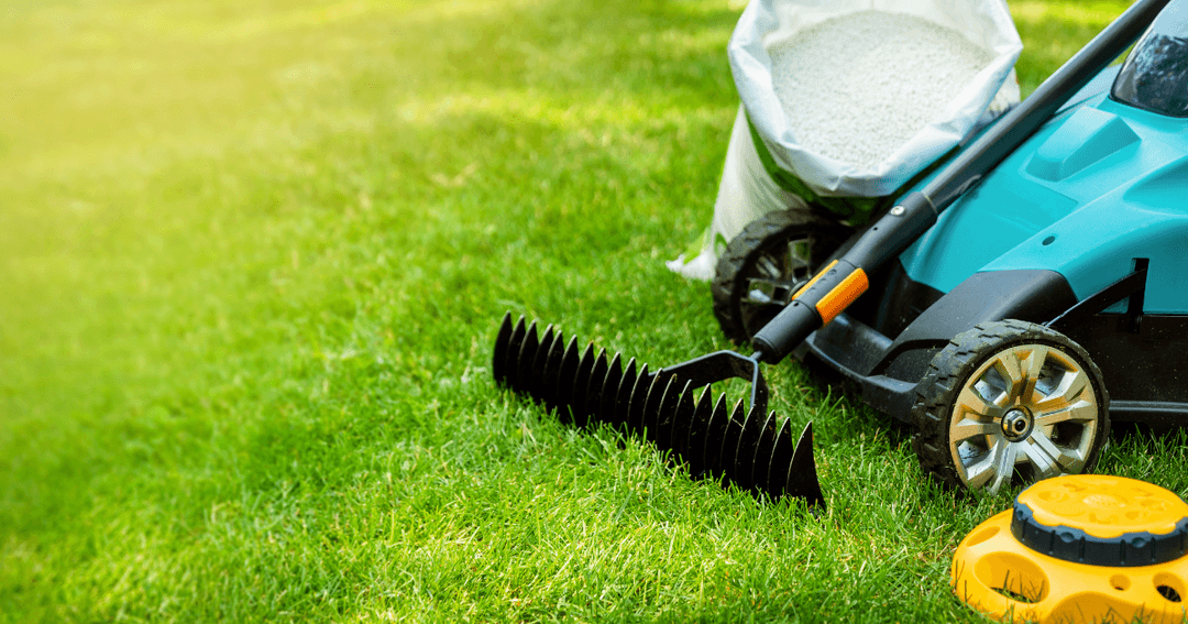How to Choose and Apply Eco-Friendly Lawn Care Products