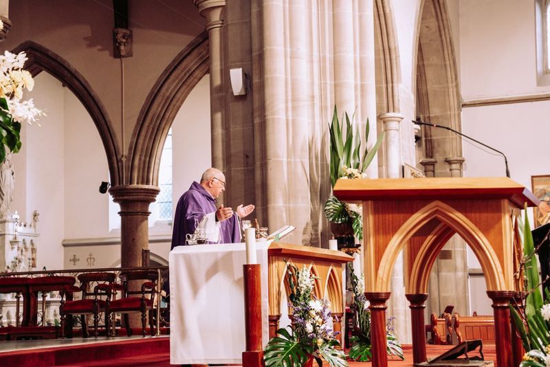 Gallery | Vivid Stream