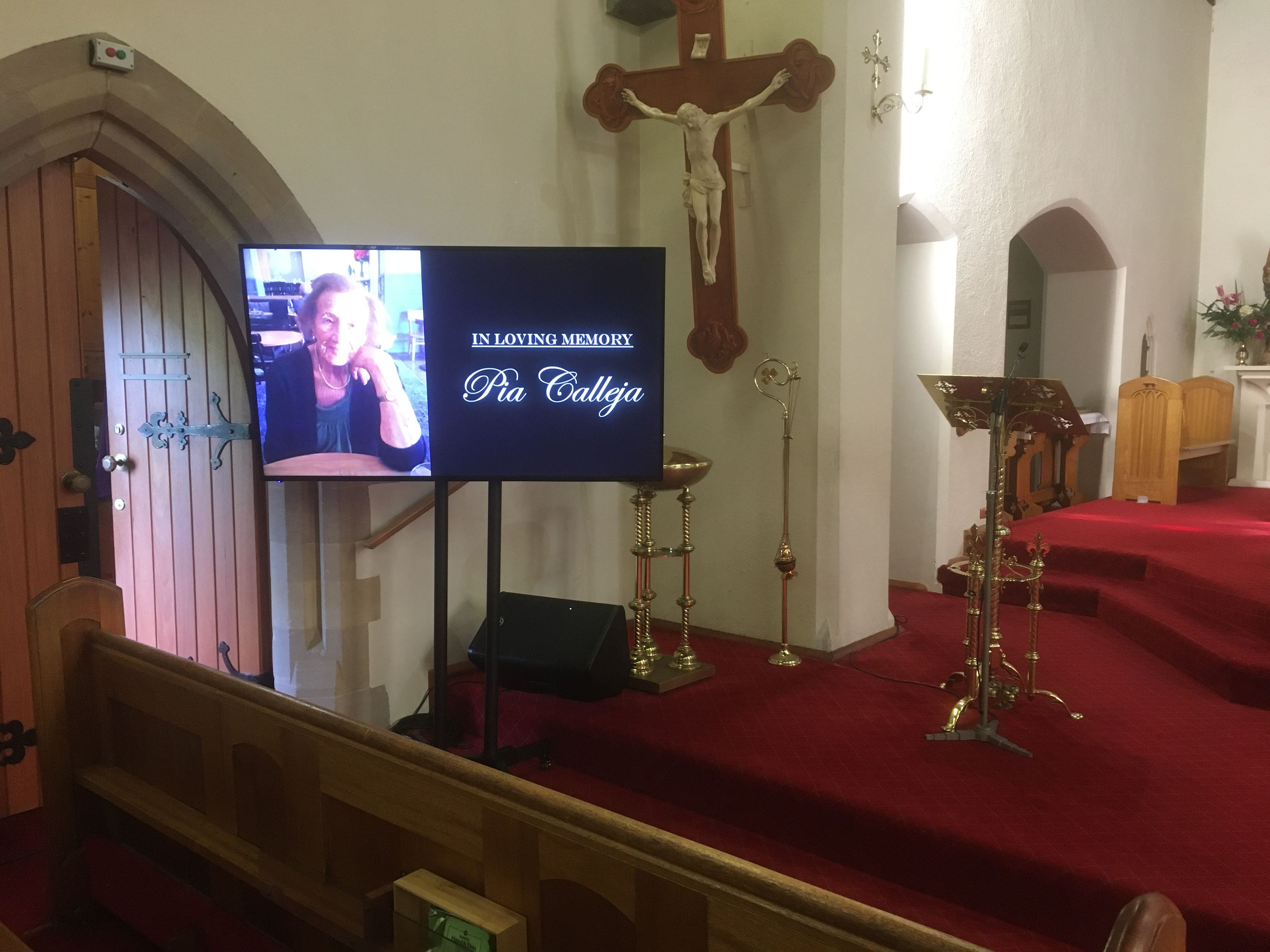 Gallery | Vivid Stream