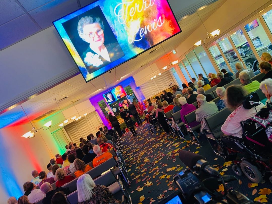 Gallery | Vivid Stream