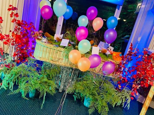 Gallery | Vivid Stream