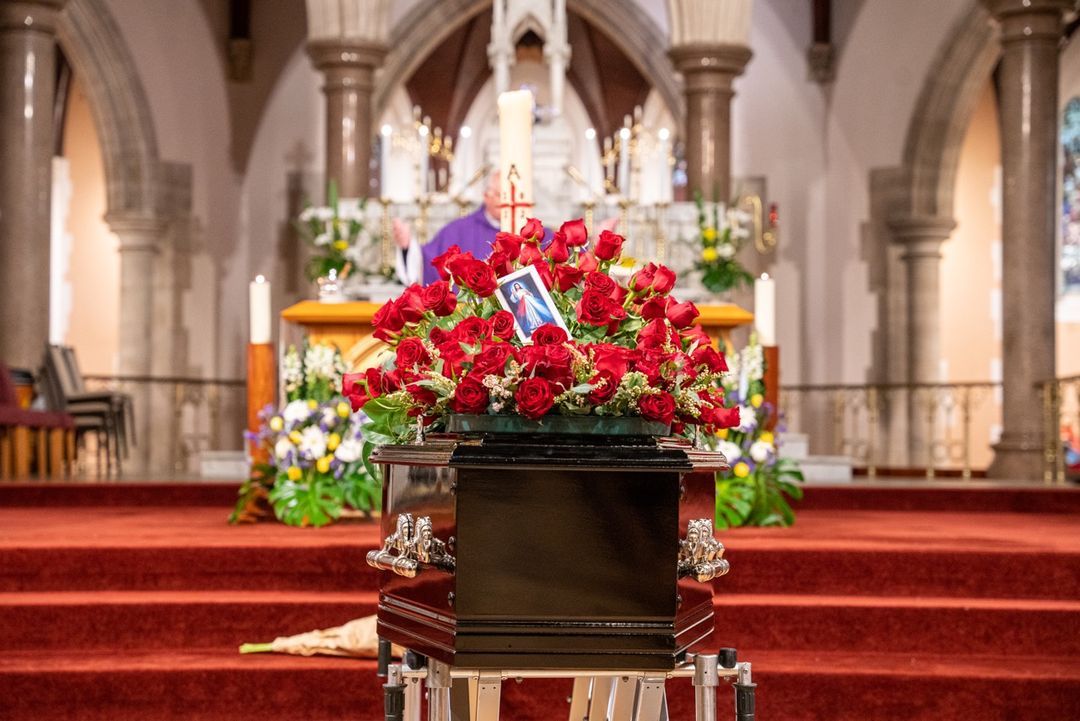 Gallery | Vivid Stream