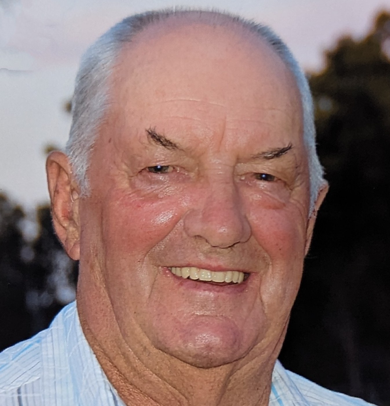 John Anderson | Vivid Stream