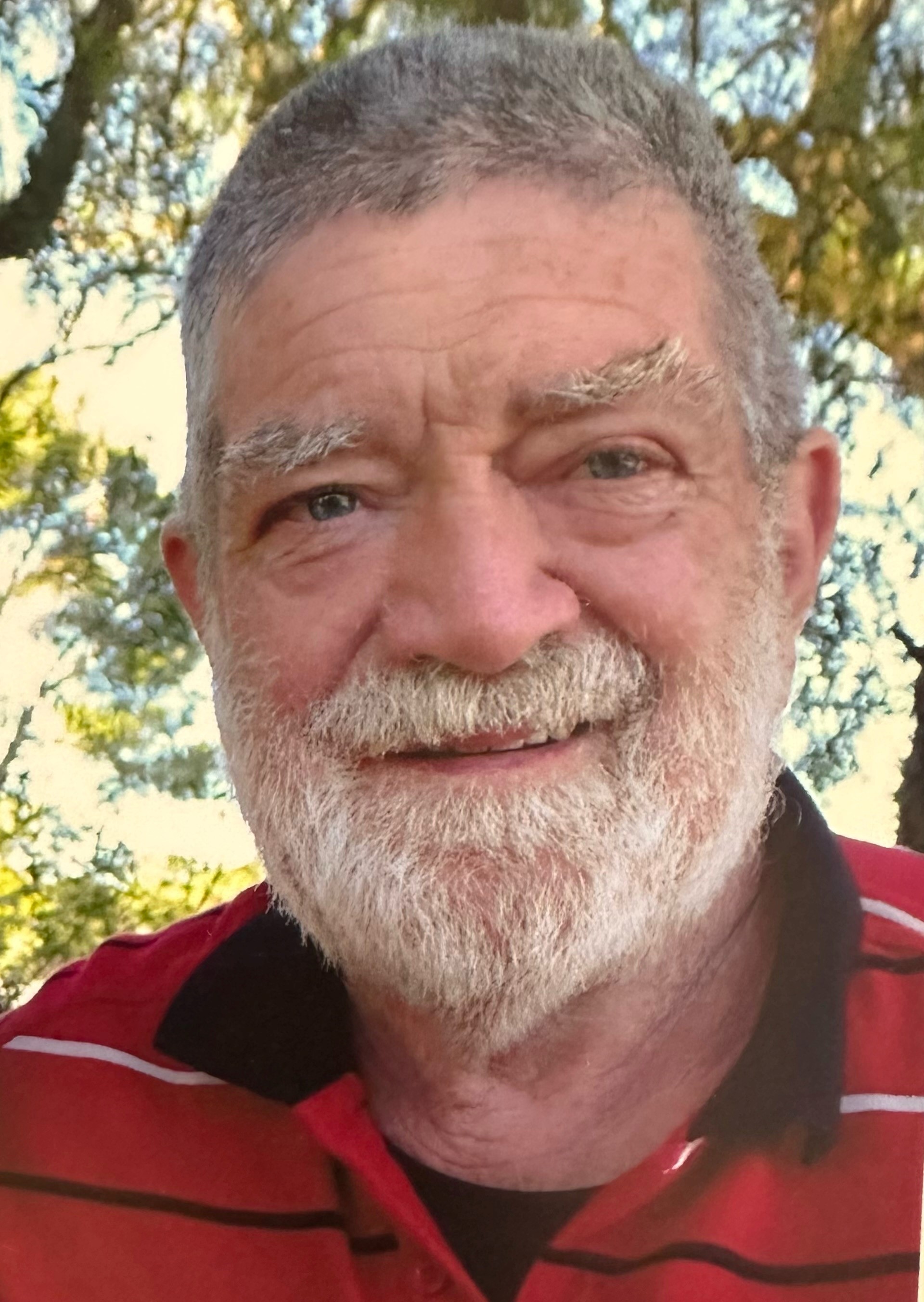 Donald Gordon Britton | Vivid Stream