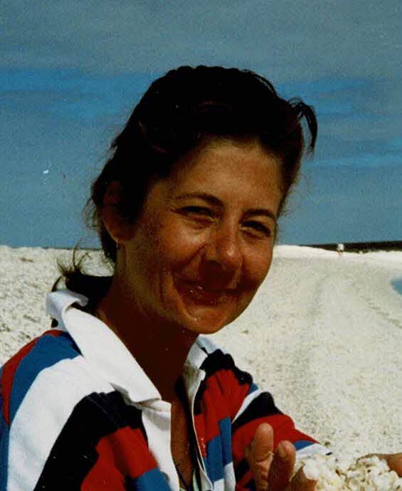 Diane Simpson | Vivid Stream