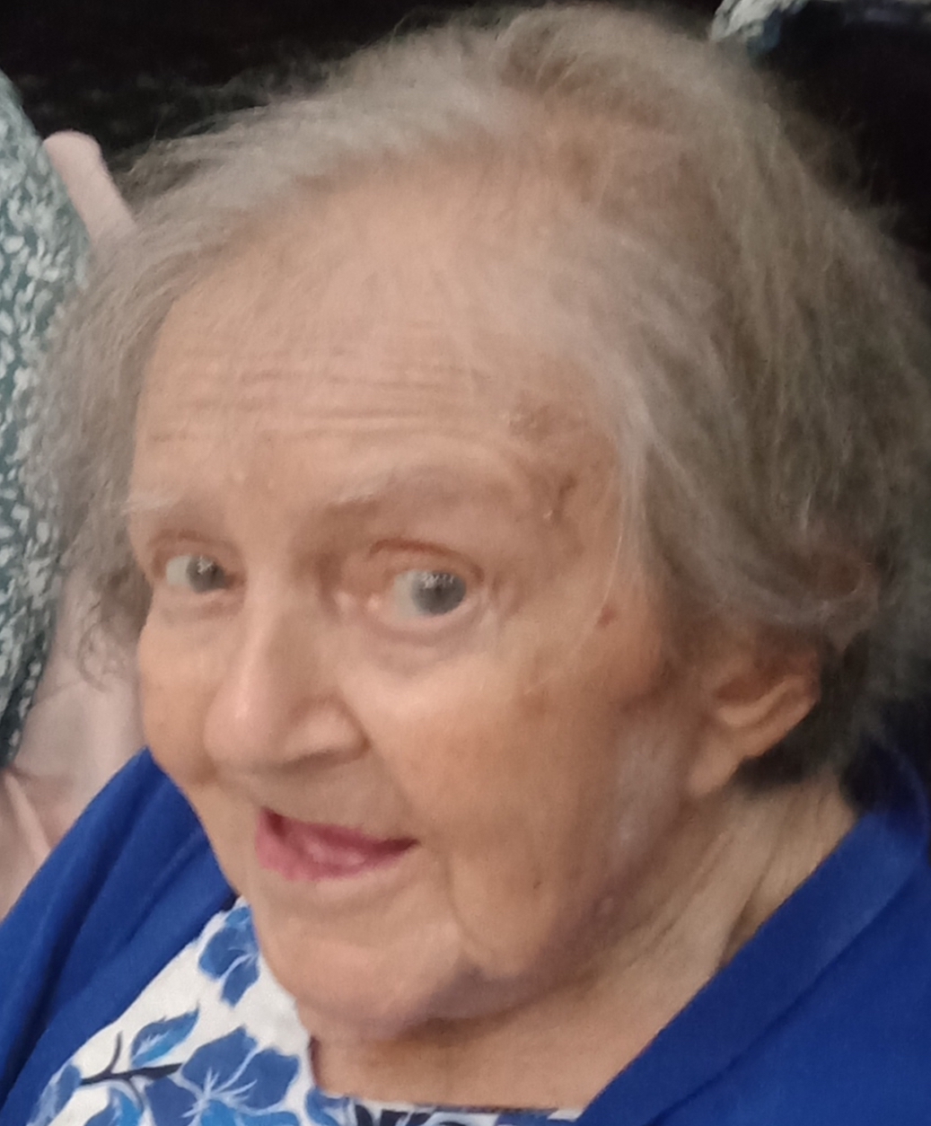 Nora Murphy | Vivid Stream