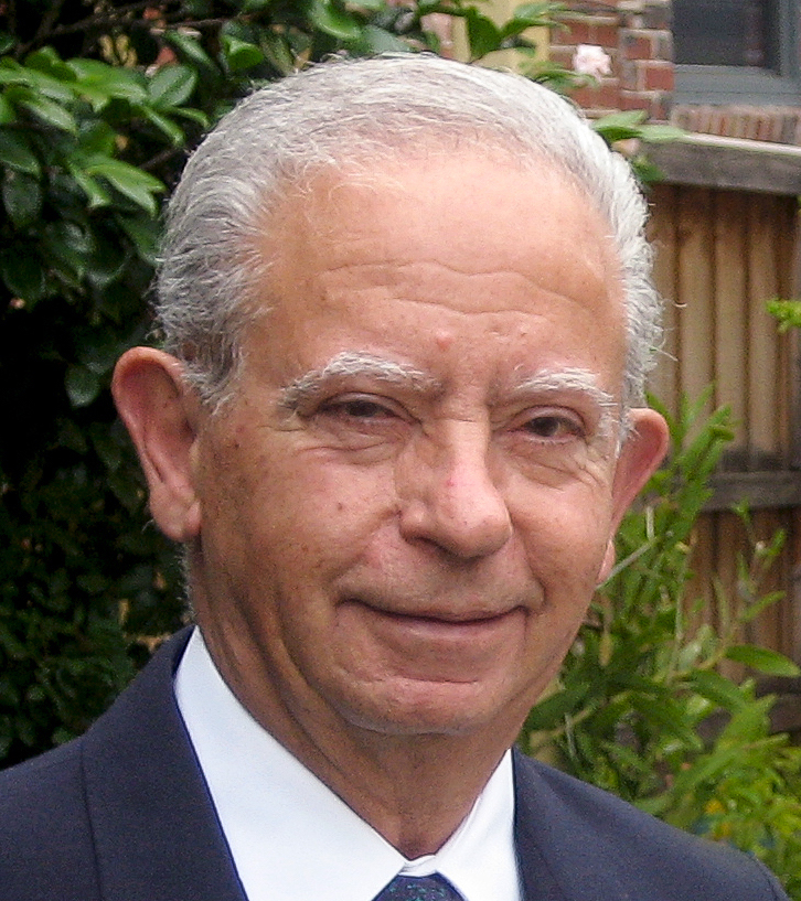 Nicola Salvatore Rettino | Vivid Stream