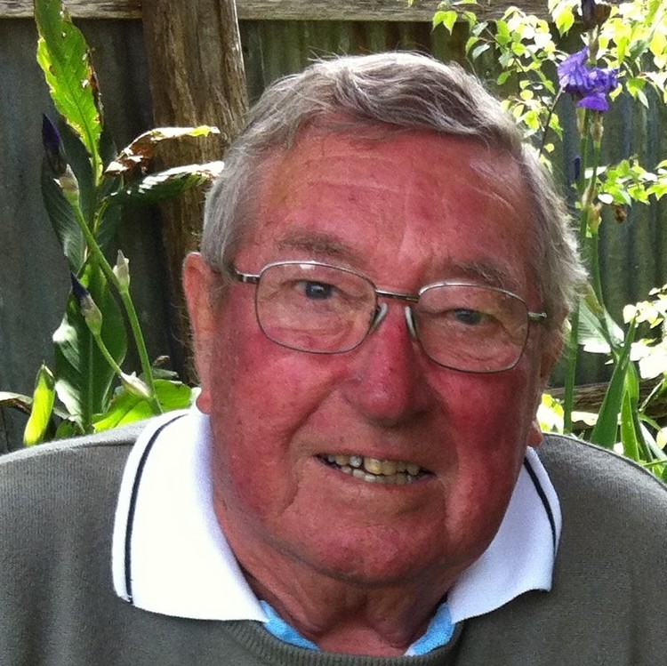 Graham McAdam | Vivid Stream