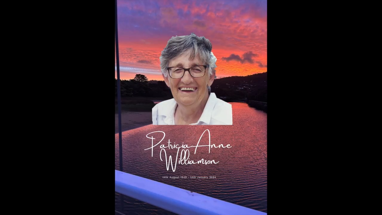 Patricia Anne Williamson | Vivid Stream