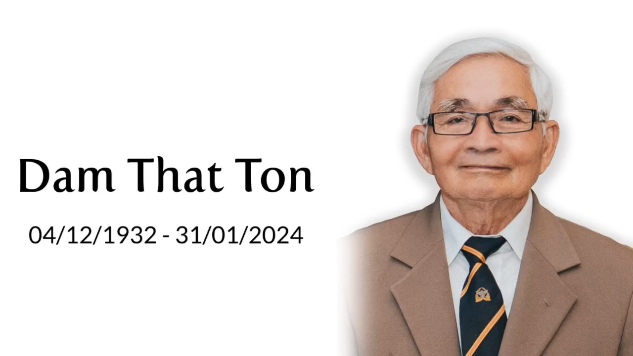 Dam That Ton | Vivid Stream