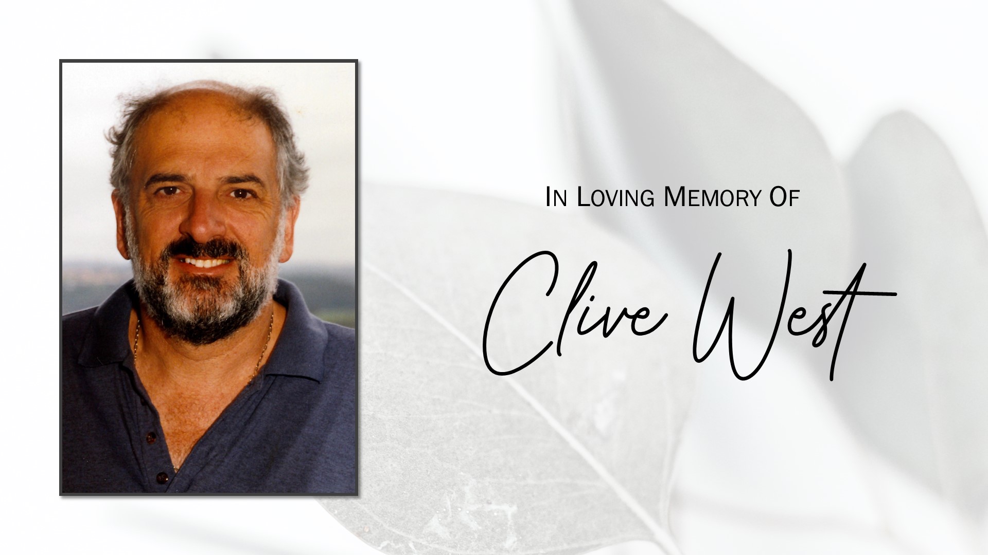 Clive Ward West | Vivid Stream