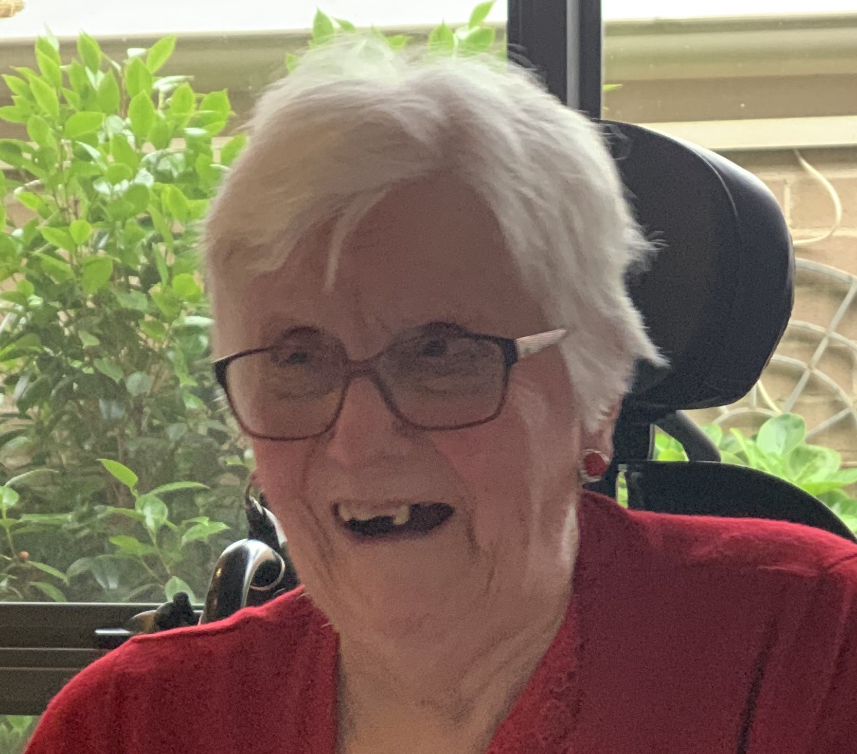 Norma Stewart Filshie | Vivid Stream