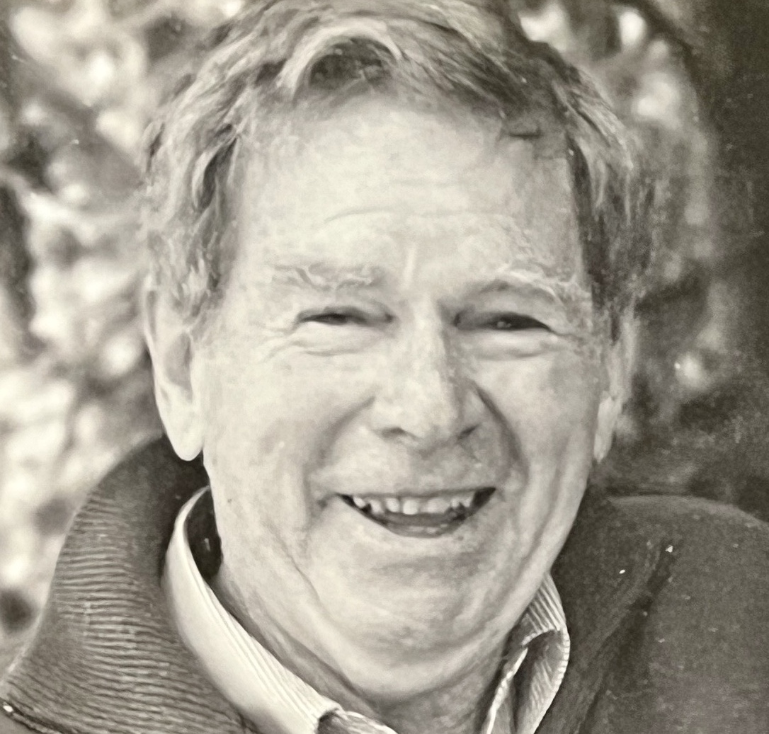 William Jude Morley | Vivid Stream