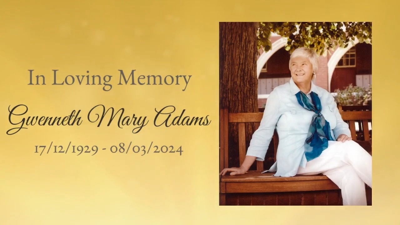 Gwen Adams | Vivid Stream