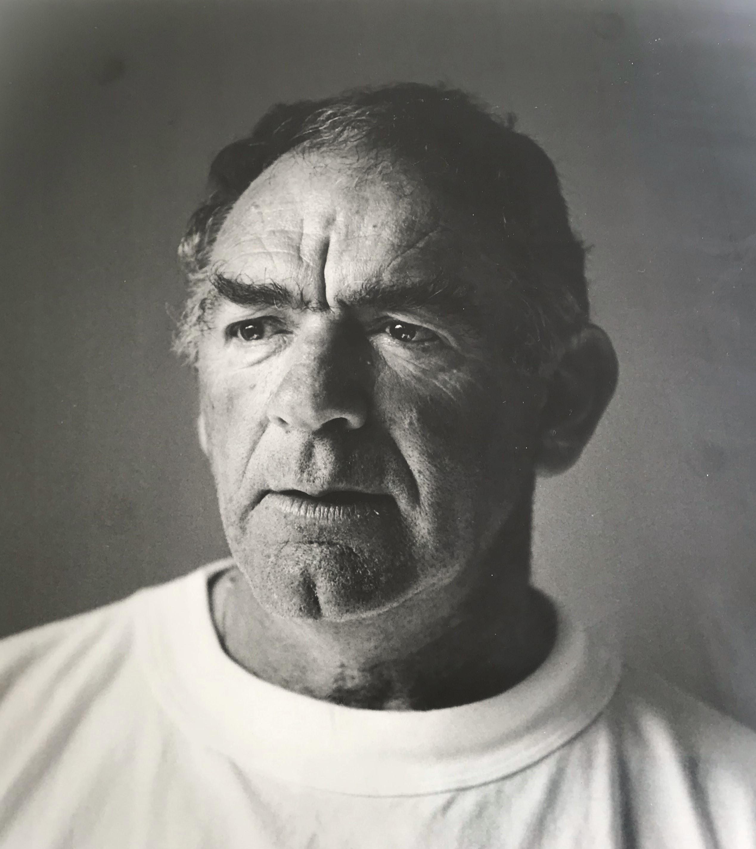 Robin Neil Magree | Vivid Stream