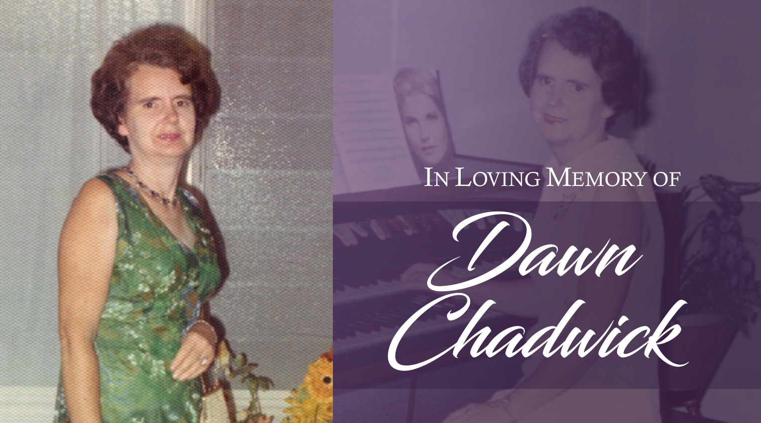 Dawn Chadwick | Vivid Stream