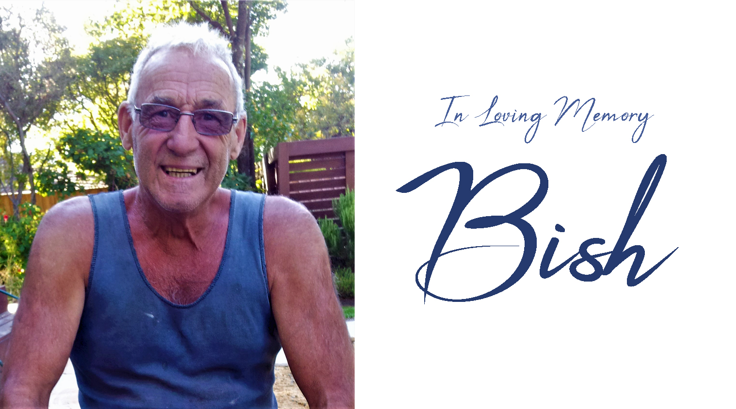 Brian Bishop 'Bish' | Vivid Stream