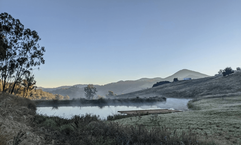 Case Study - CH Group | Entourage Technology