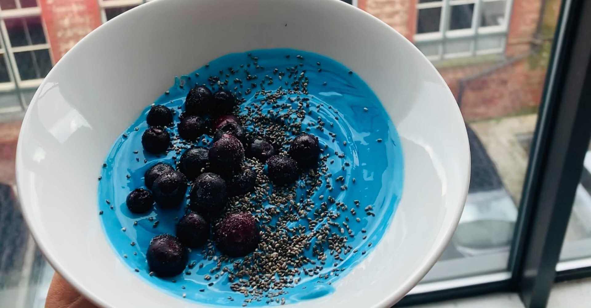 Alex's Blue Blueberry Yogurt