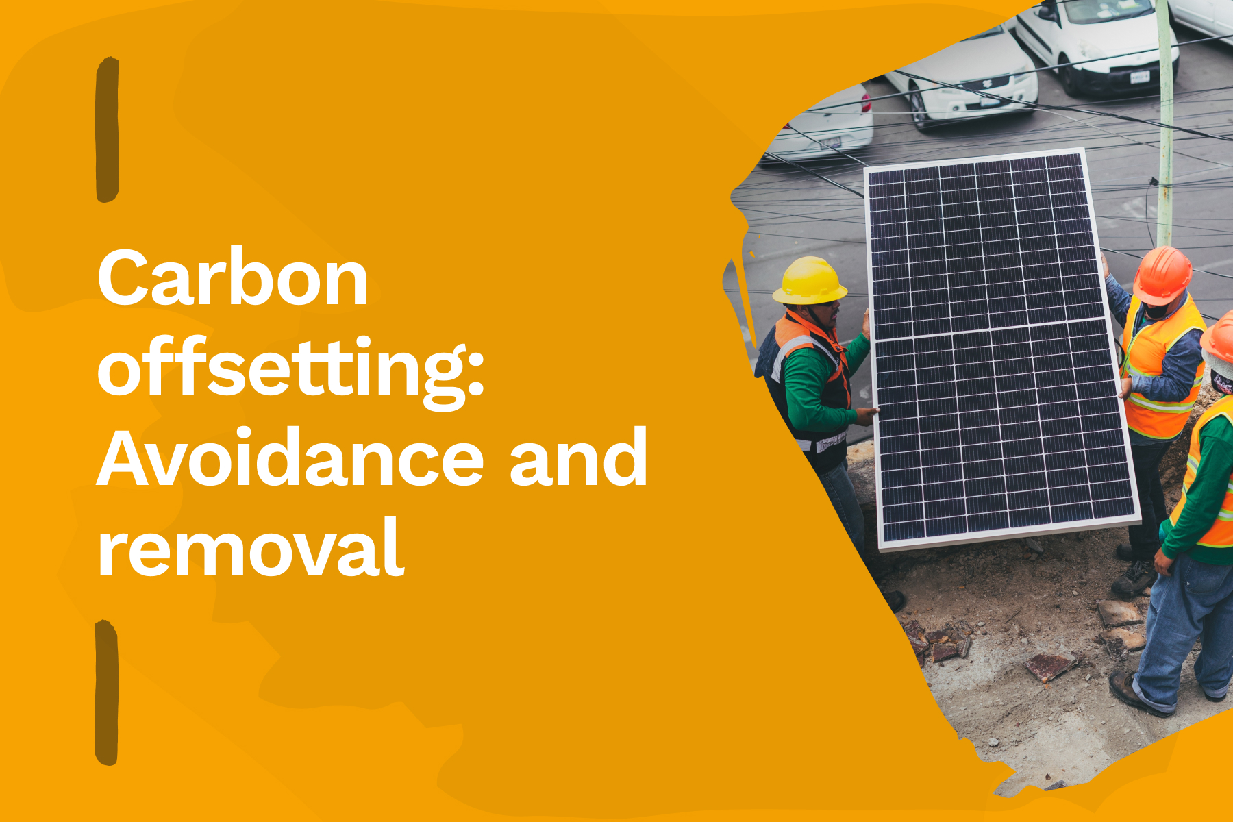 Carbon offsetting: Avoidance and removal