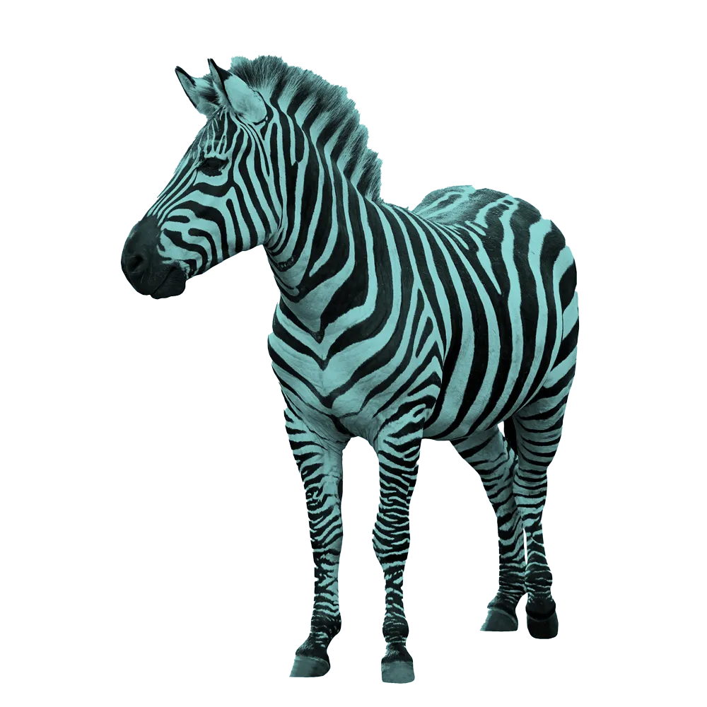 Sinclair Day | Accountants & Tax Advisors Worcester