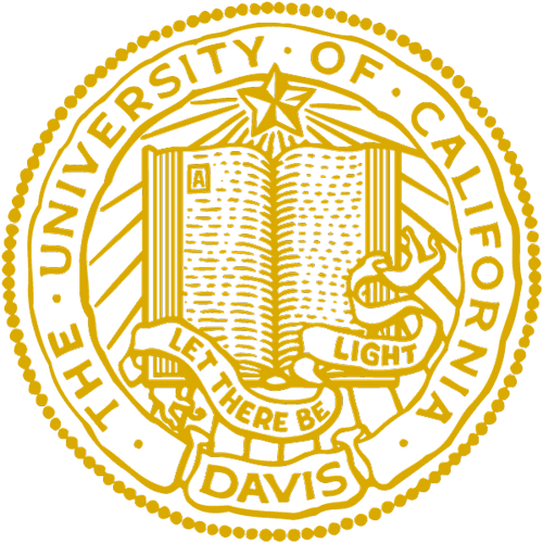 Immerse | VR Language Classes & AI-Powered Practice