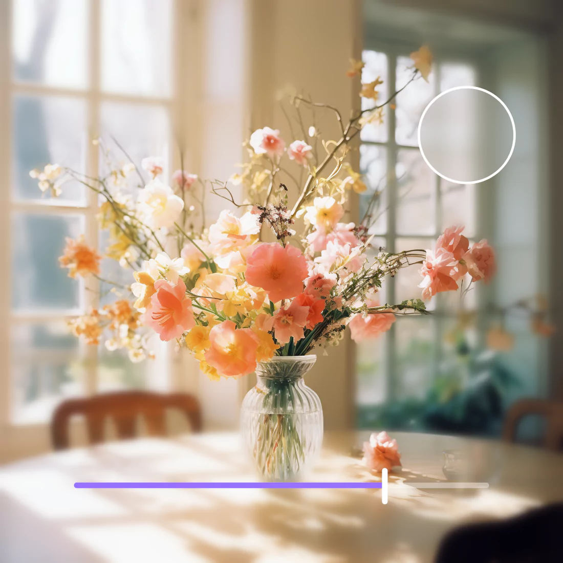 Blur Images: Easily Blur Photos In An Instant | Photoleap