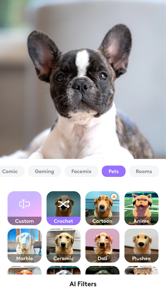 AI Pet Portrait Generator: Turn your Pet Photo into Cartoon | Photoleap