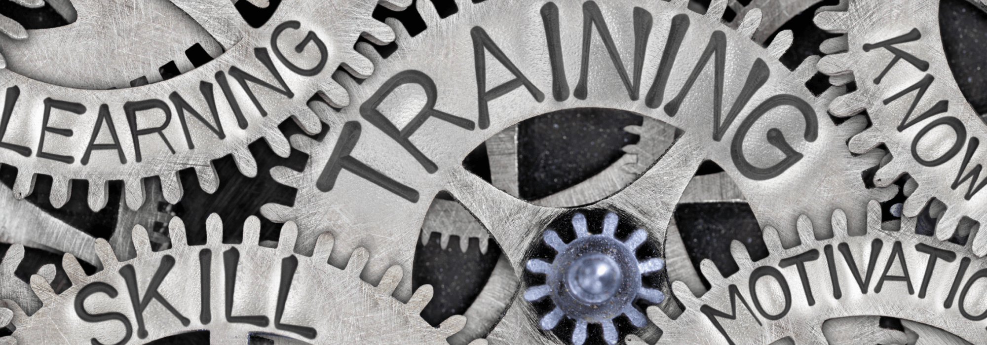 The Value of Professional Development