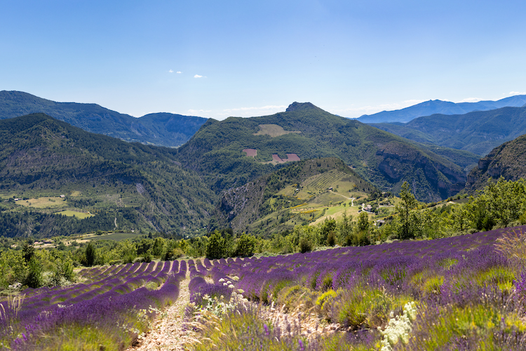 Drôme Provençale: waar de Provence begint